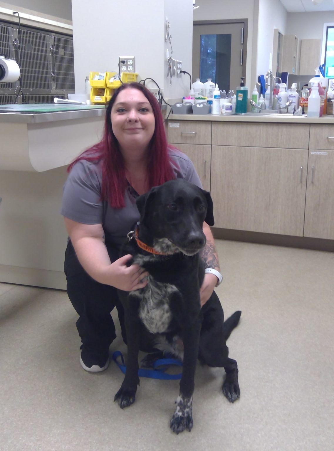 Tori Reno - Back Mountain Veterinary Hospital